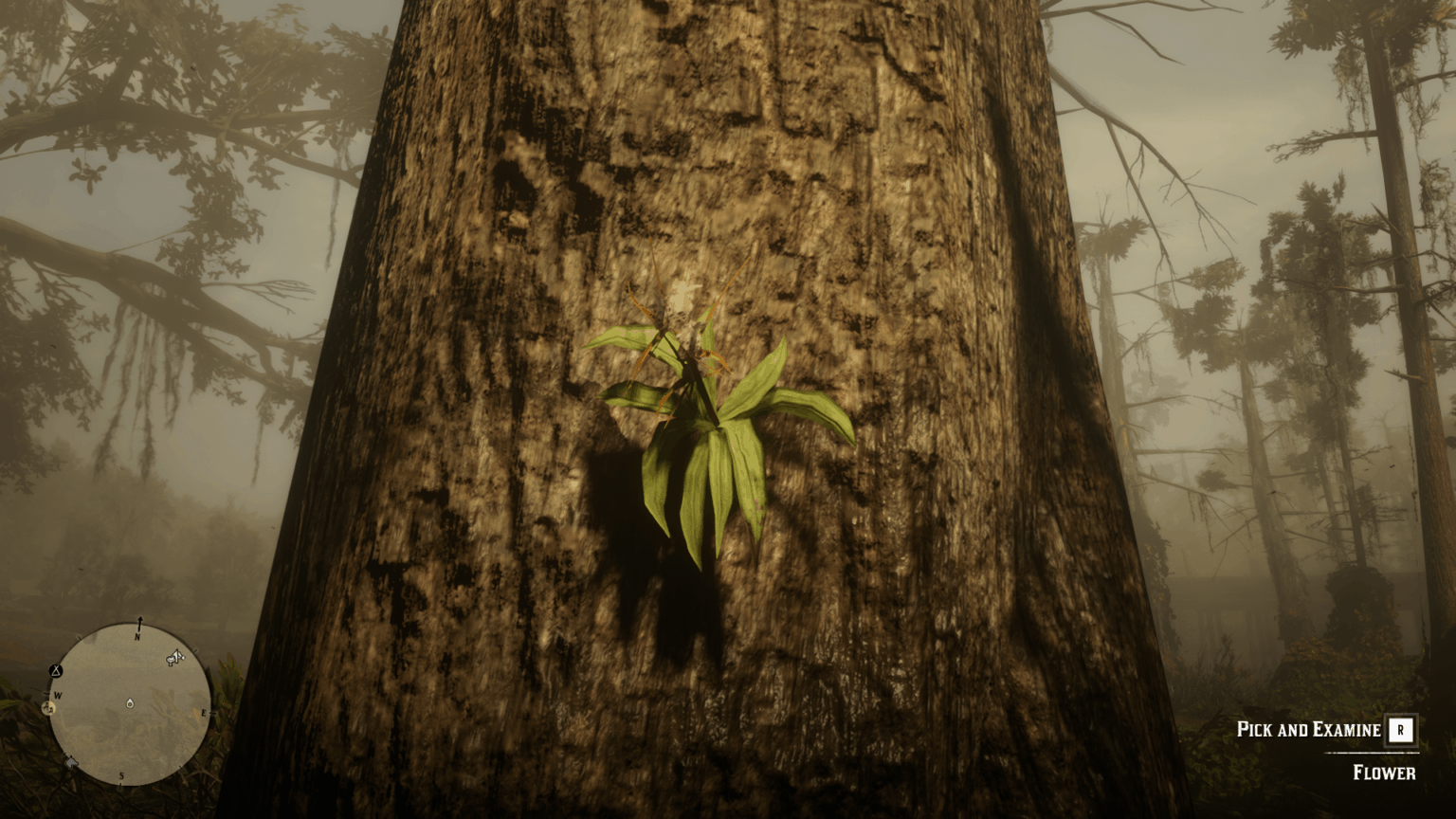 Plants & Herbs Location Guide - RDR2.org
