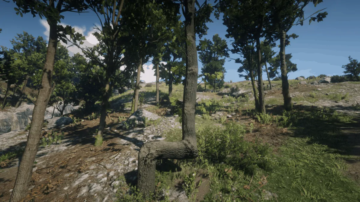 Points of Interest Guide - Page 2 of 4 - RDR2.org