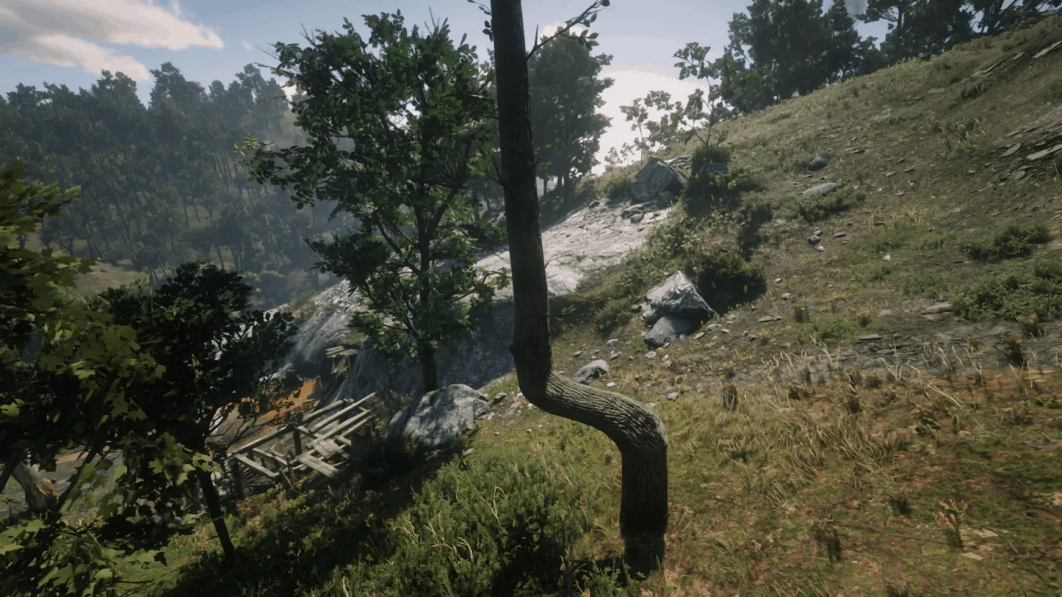 Points of Interest Guide - Page 2 of 4 - RDR2.org