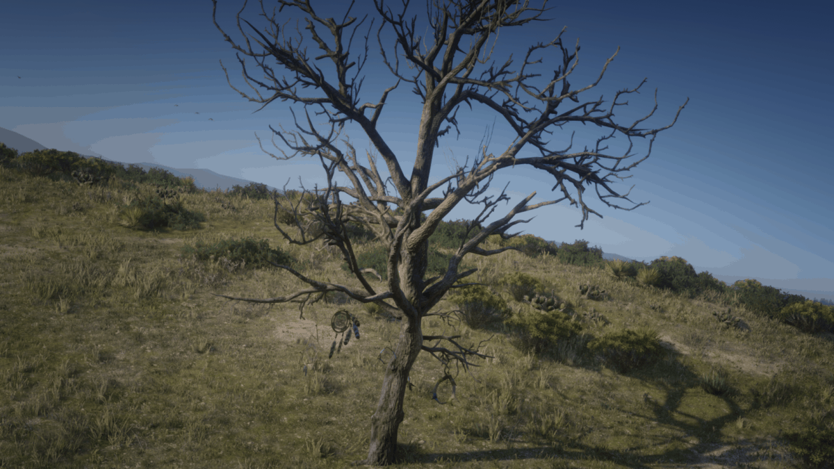 Points of Interest Guide - RDR2.org