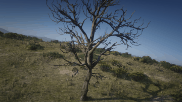 Points of Interest Guide - RDR2.org