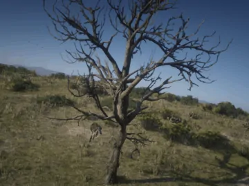 RDR2.org: Red Dead Redemption 2 News, Cheats, Forums, Wiki & Guides