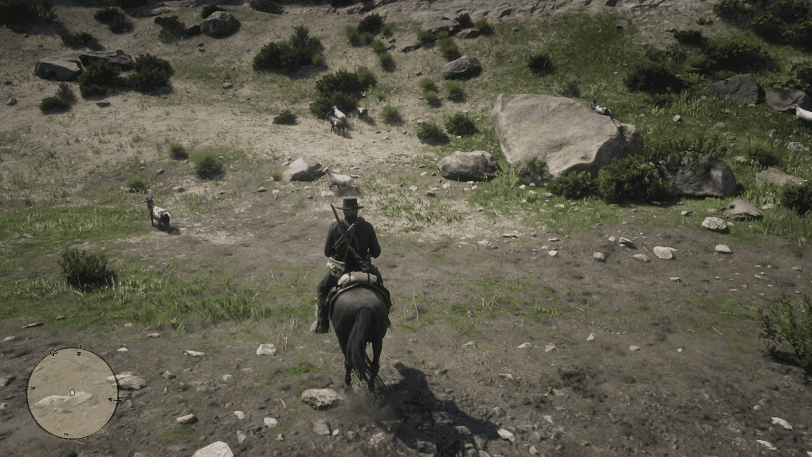 All Animal Locations Guide - RDR2.org