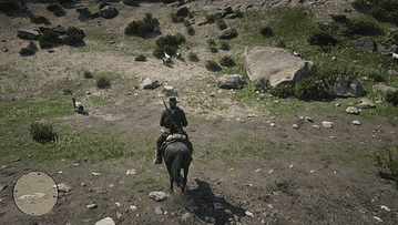 All Animal Locations Guide - RDR2.org
