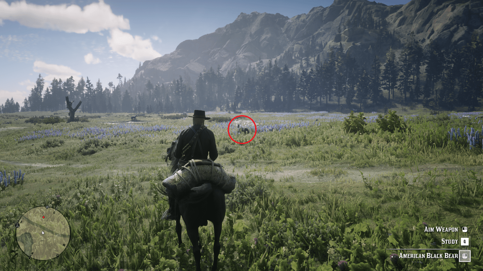 All Animal Locations Guide - RDR2.org