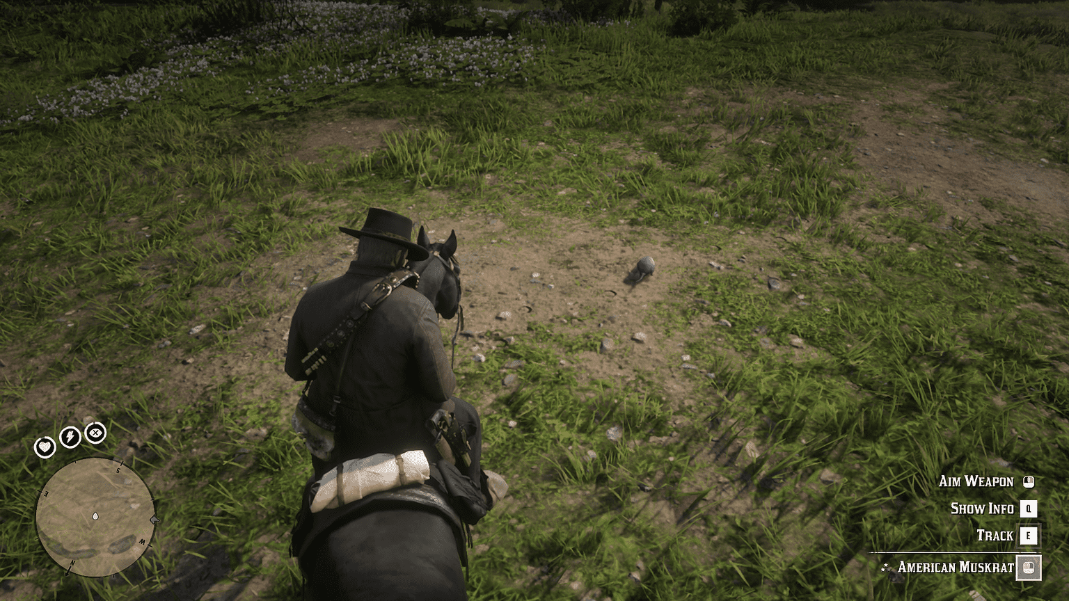 All Animal Locations Guide - RDR2.org