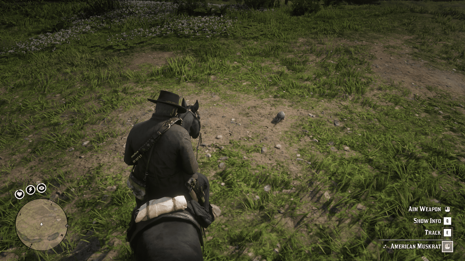 All Animal Locations Guide - RDR2.org