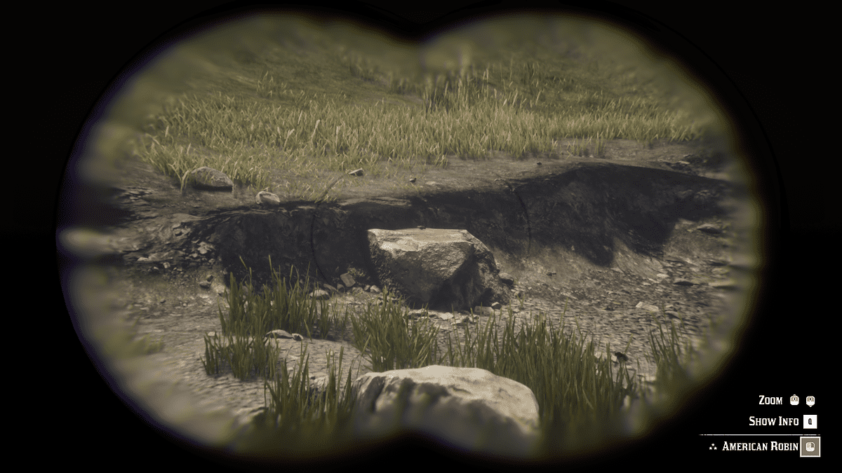 All Animal Locations Guide - Page 2 of 7 - RDR2.org