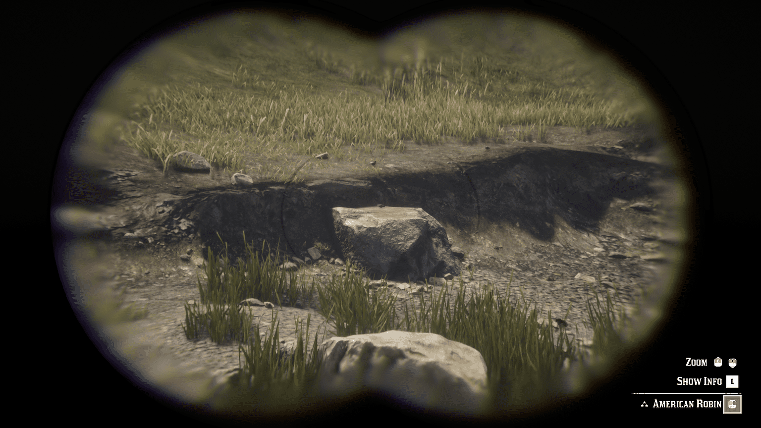 All Animal Locations Guide - Page 2 of 7 - RDR2.org