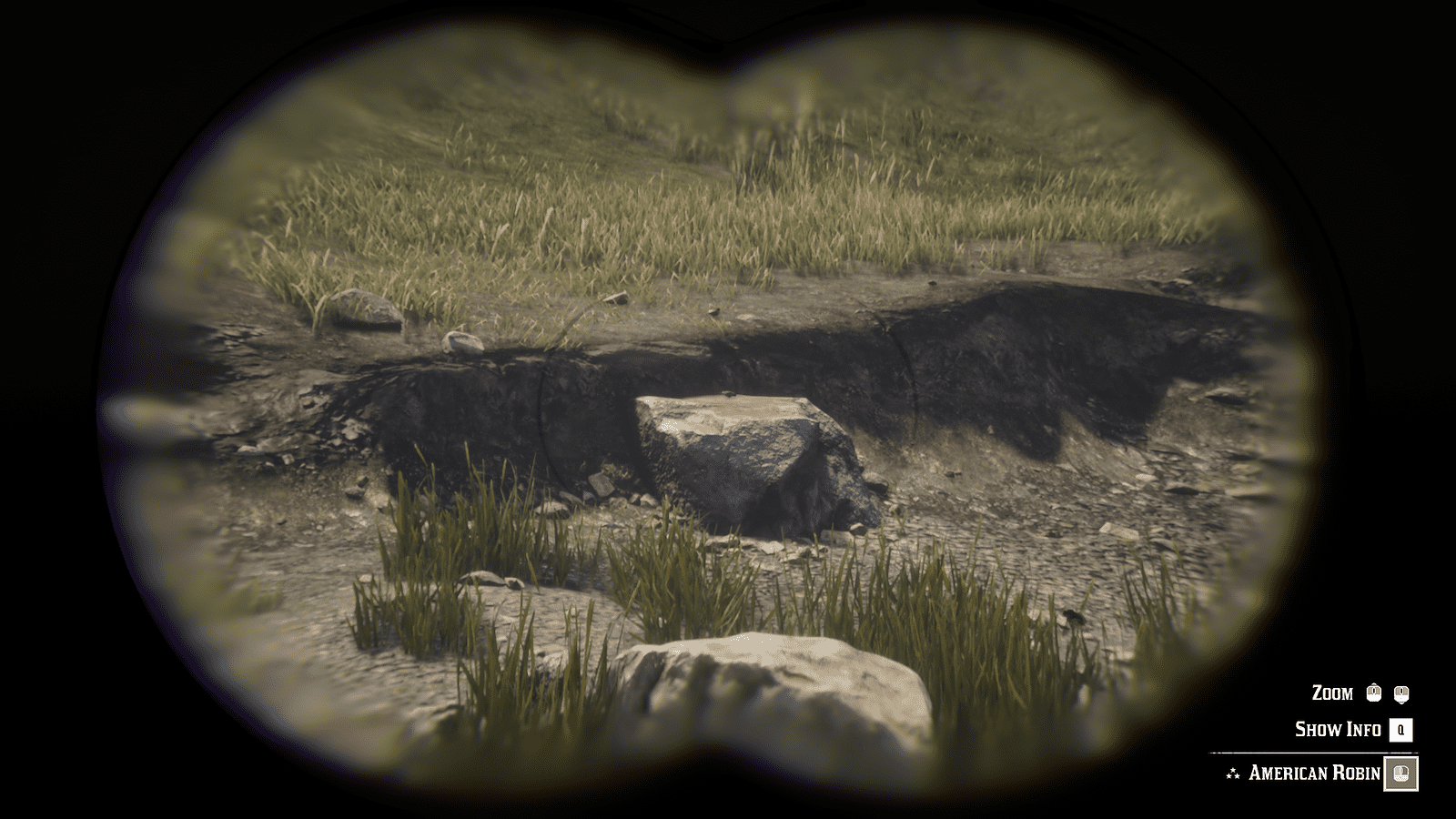 All Animal Locations Guide - Page 2 of 7 - RDR2.org