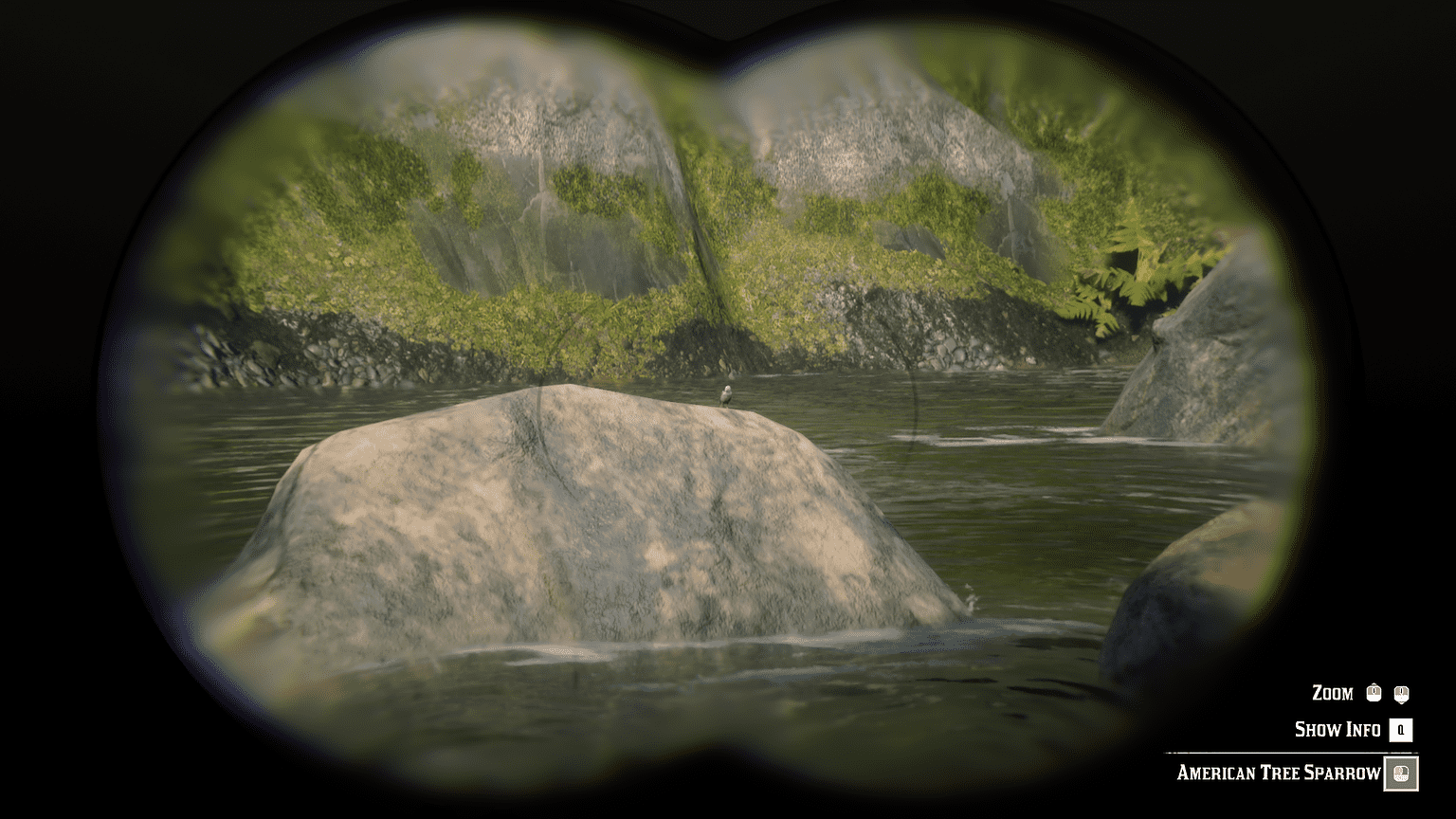 All Animal Locations Guide - Page 2 of 7 - RDR2.org