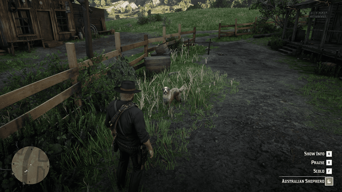 All Animal Locations Guide - Page 2 of 7 - RDR2.org