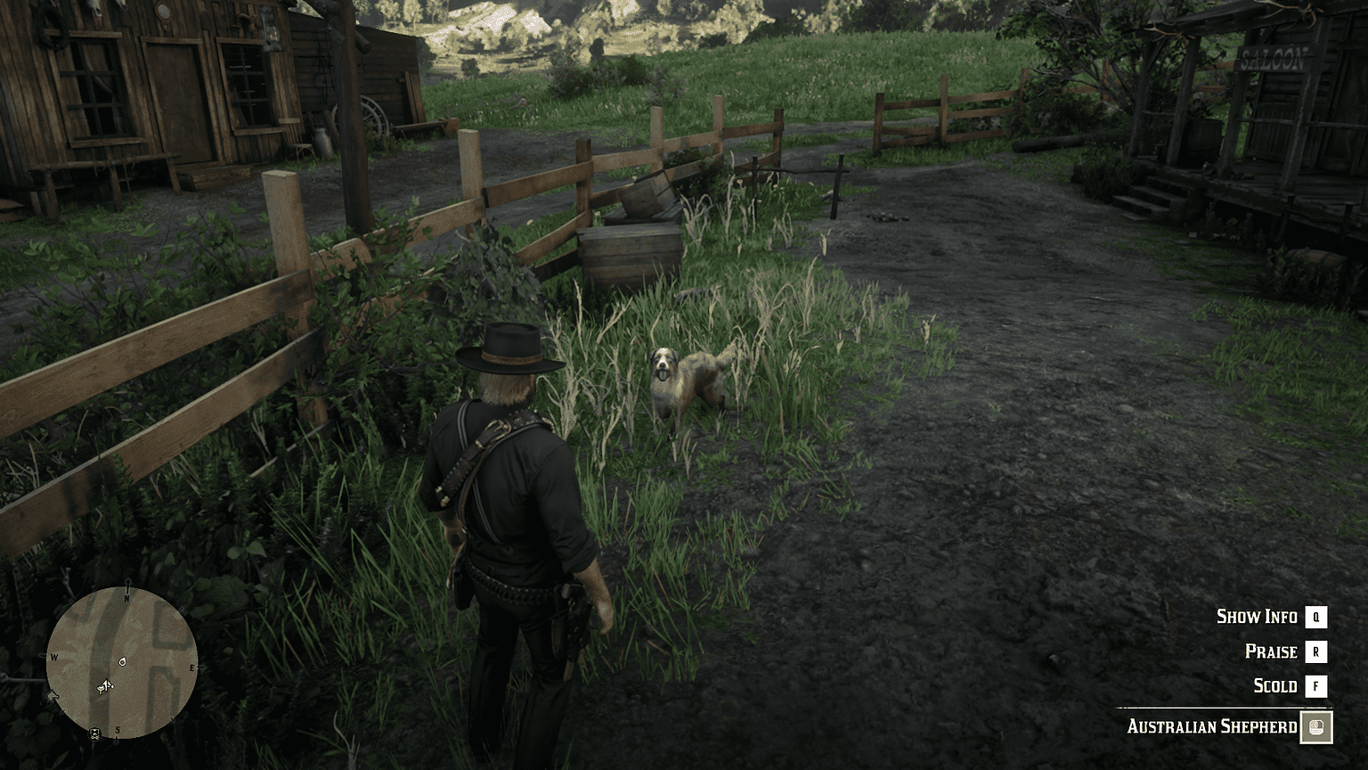 All Animal Locations Guide - Page 2 of 7 - RDR2.org