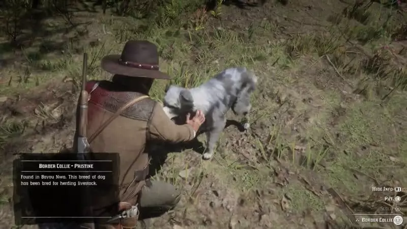 All Animal Locations Guide - Page 2 of 7 - RDR2.org