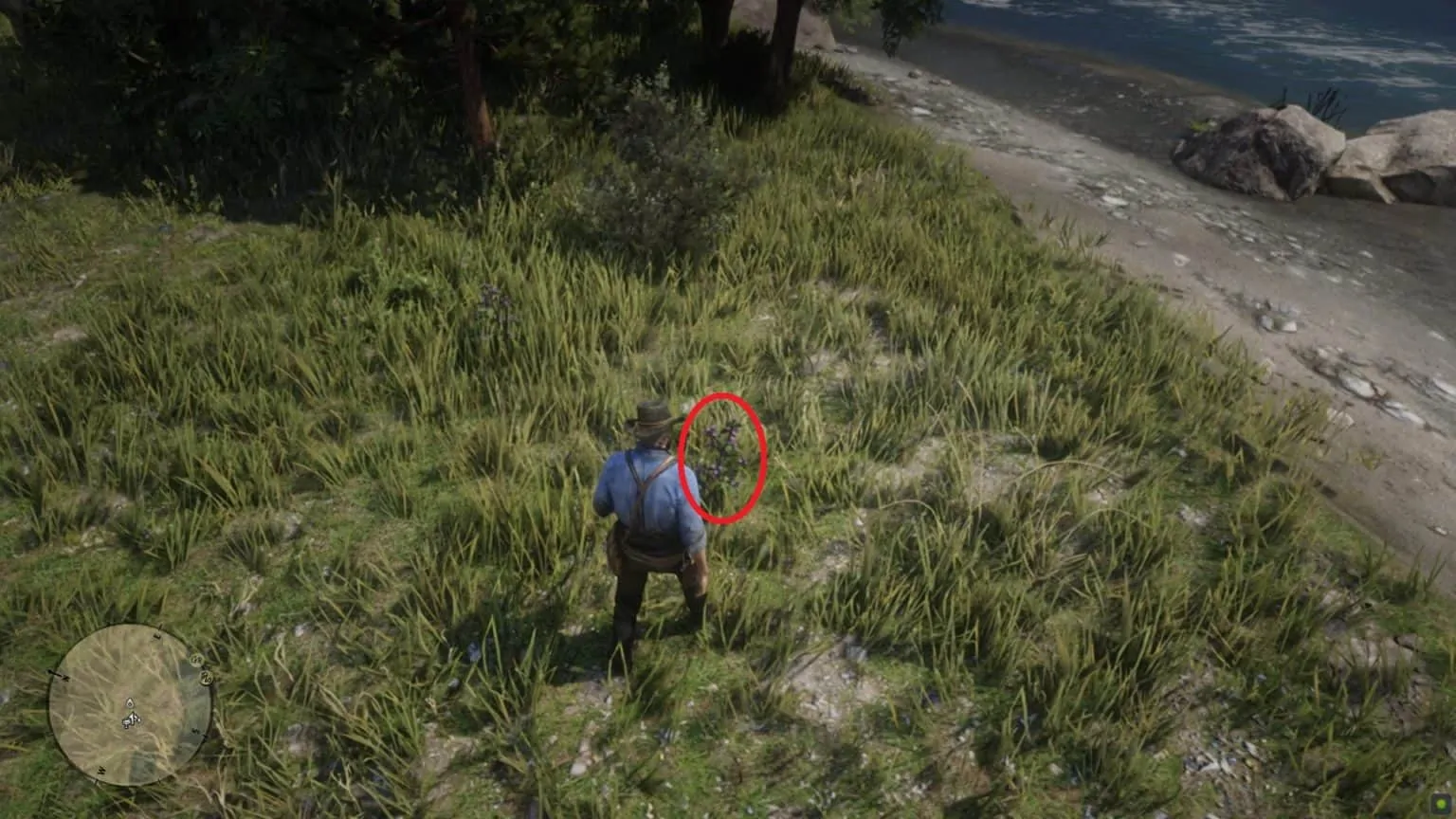 Item Requests Guide - RDR2.org