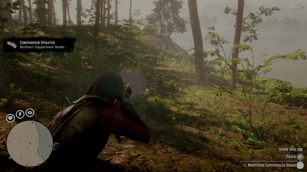 All Animal Locations Guide - Page 4 of 7 - RDR2.org