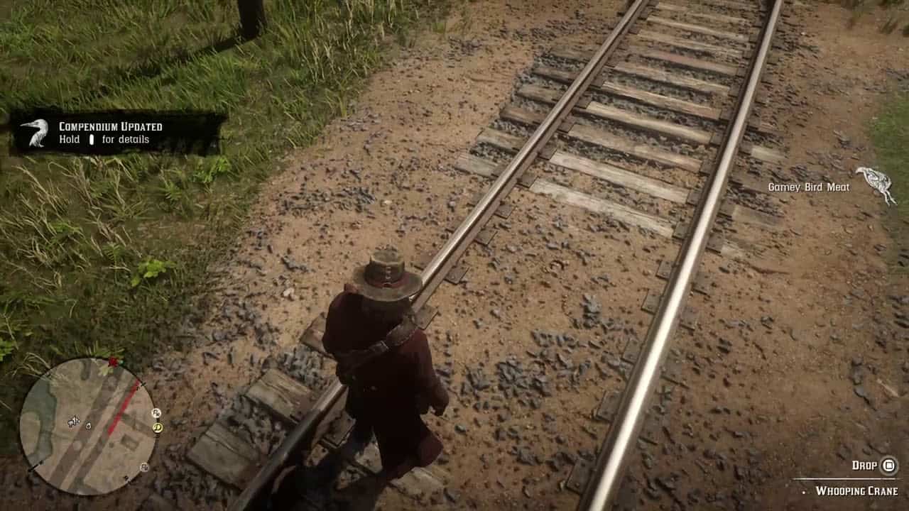 All Animal Locations Guide - Page 7 of 7 - RDR2.org