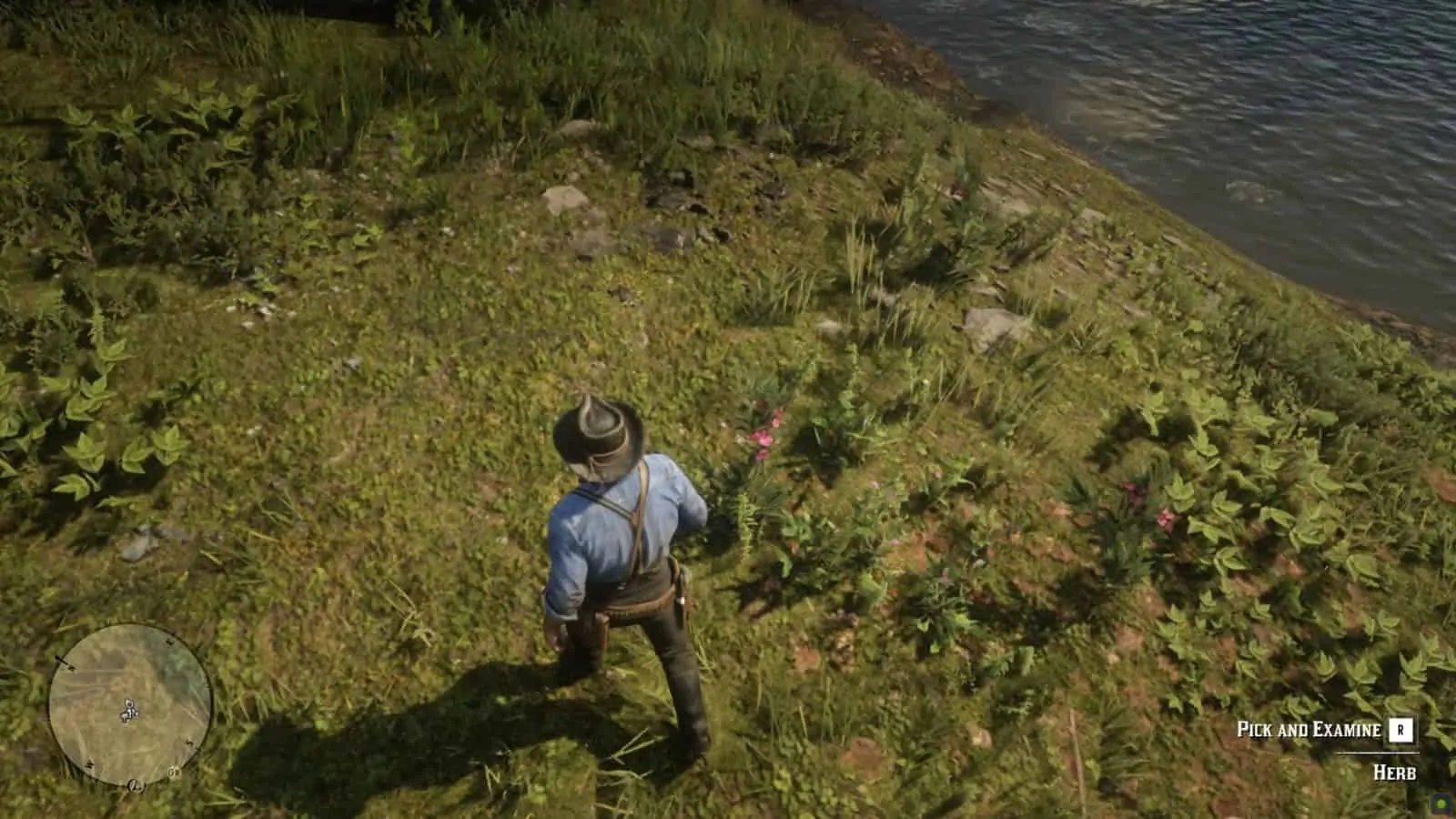 Item Requests Guide - RDR2.org