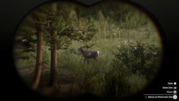 All Animal Locations Guide - RDR2.org