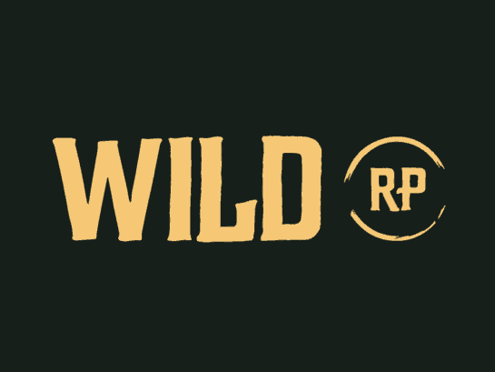 WildRP Is Already Getting Ready For Red Dead Online Roleplay On PC ...