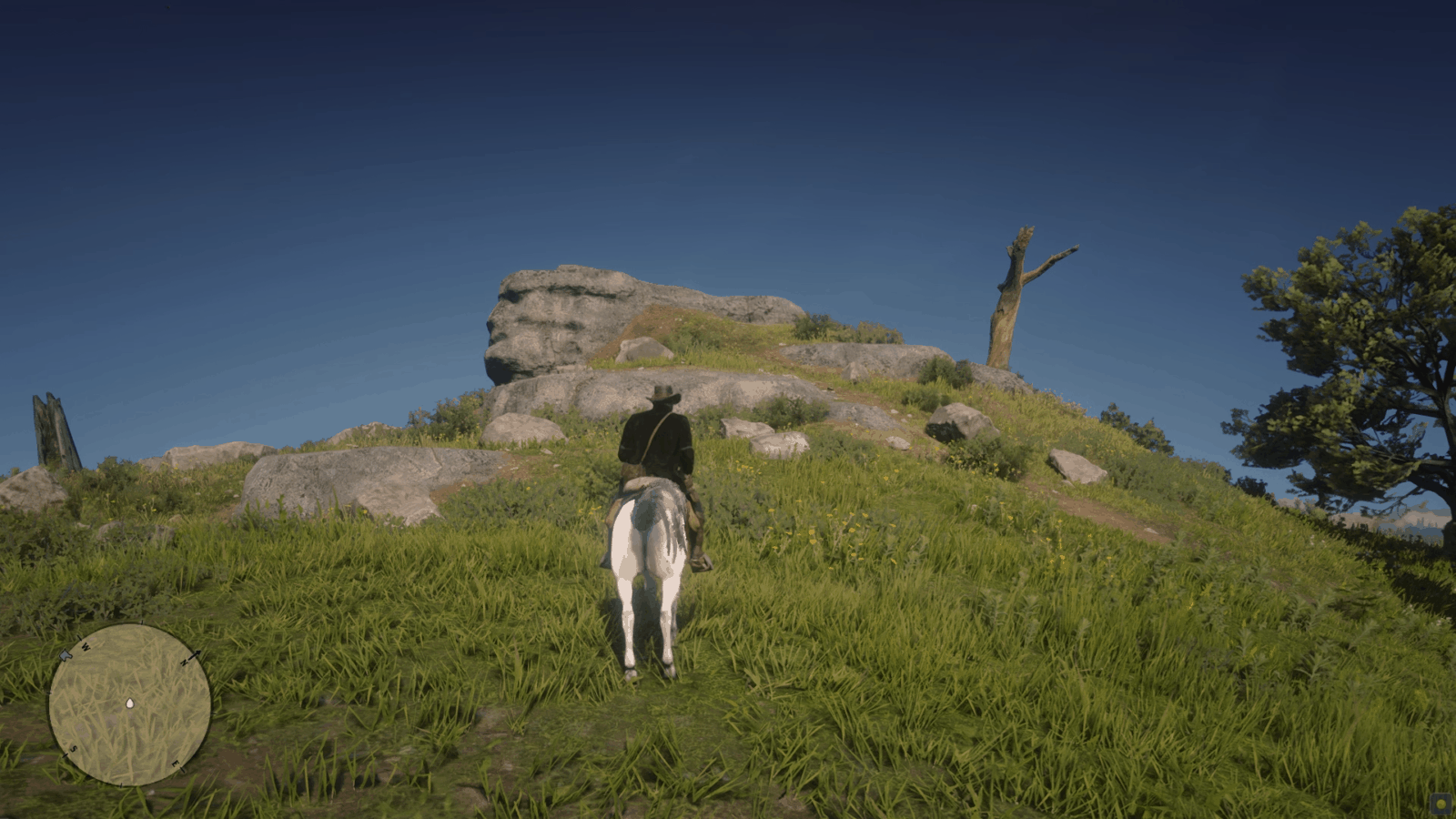 "Poisonous Trail" Treasure Hunt Guide - RDR2.org