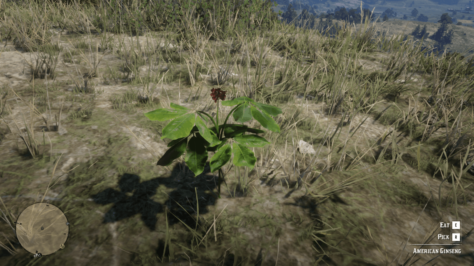 Plants & Herbs Location Guide - RDR2.org