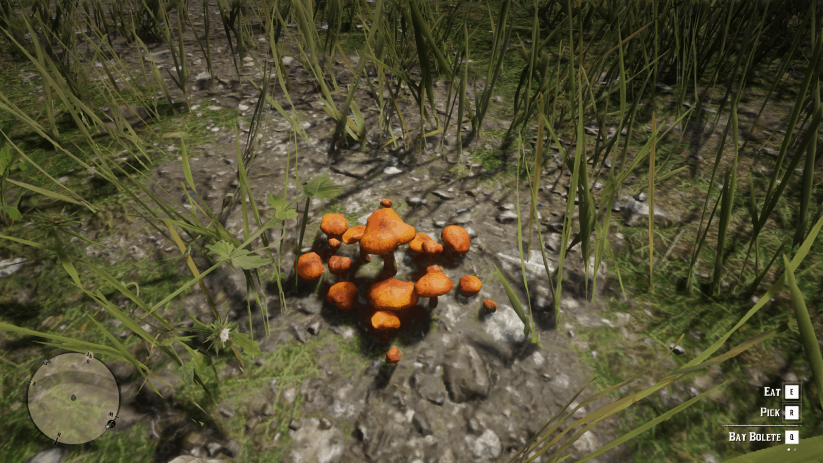 Plants & Herbs Location Guide - RDR2.org