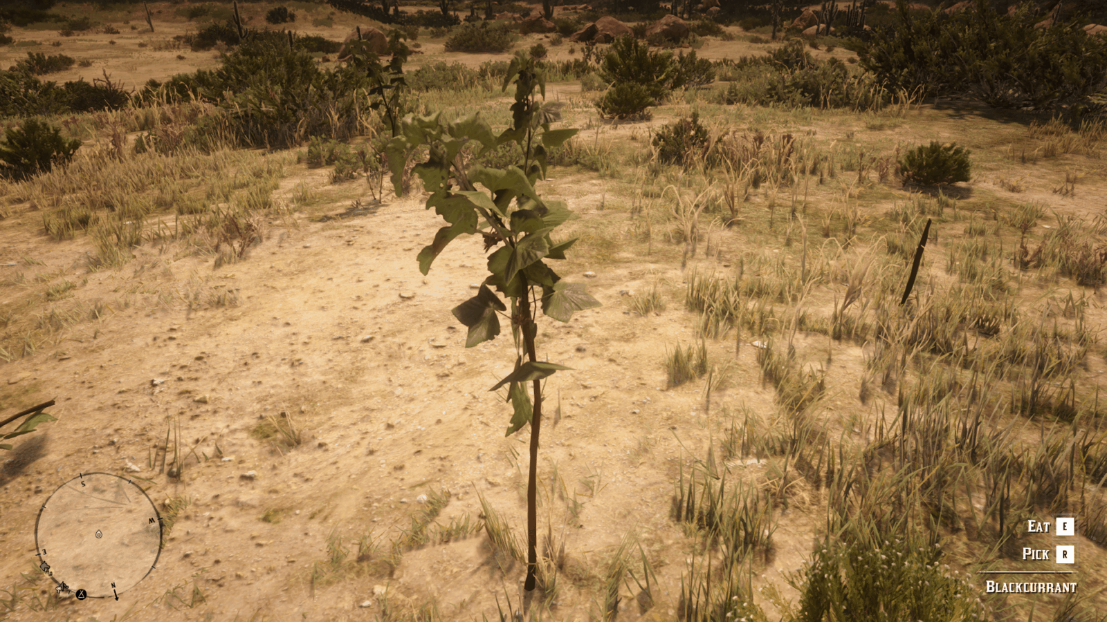 Plants & Herbs Location Guide - RDR2.org
