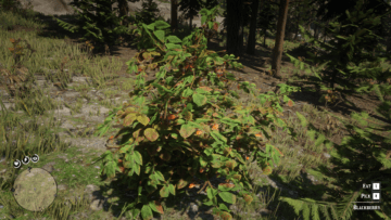 Plants & Herbs Location Guide - RDR2.org