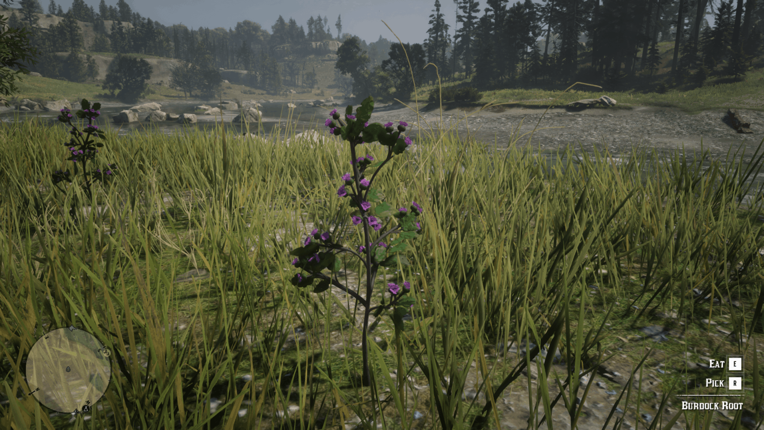 Plants & Herbs Location Guide - RDR2.org