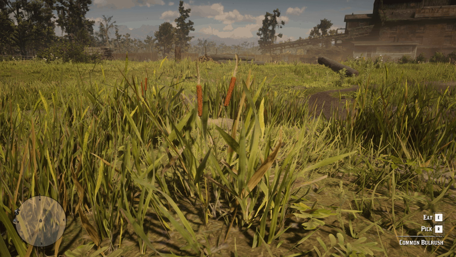 Plants & Herbs Location Guide - RDR2.org