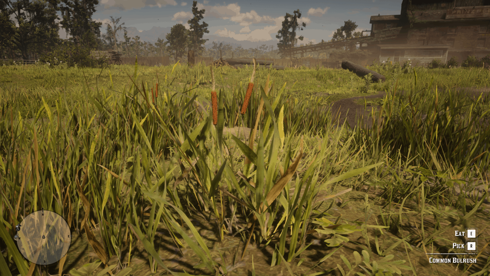 Plants & Herbs Location Guide - RDR2.org