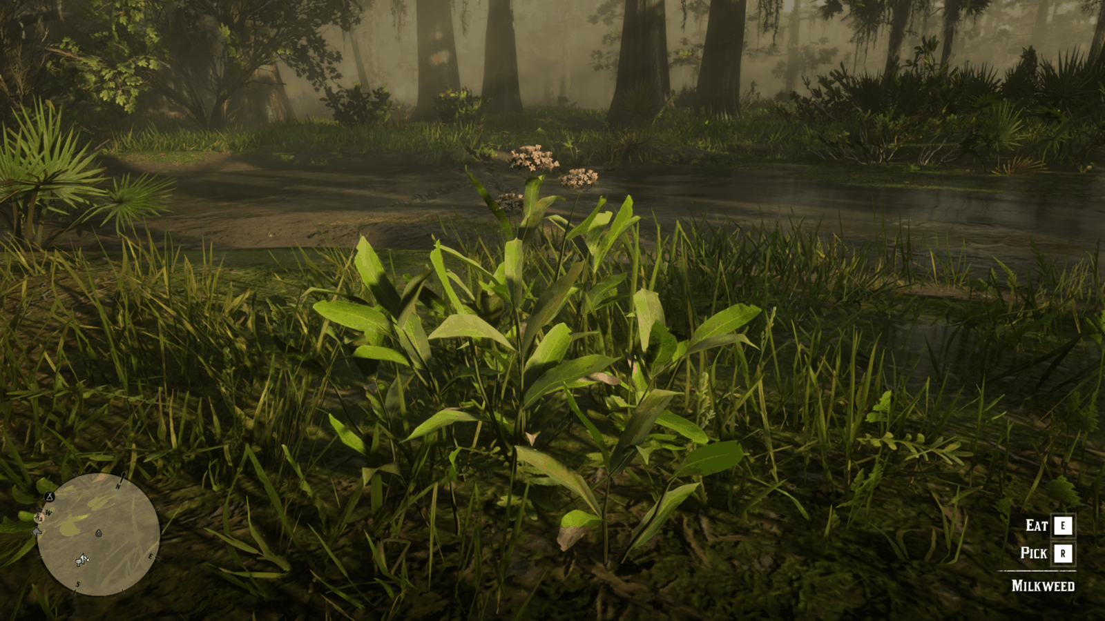 Plants & Herbs Location Guide - RDR2.org