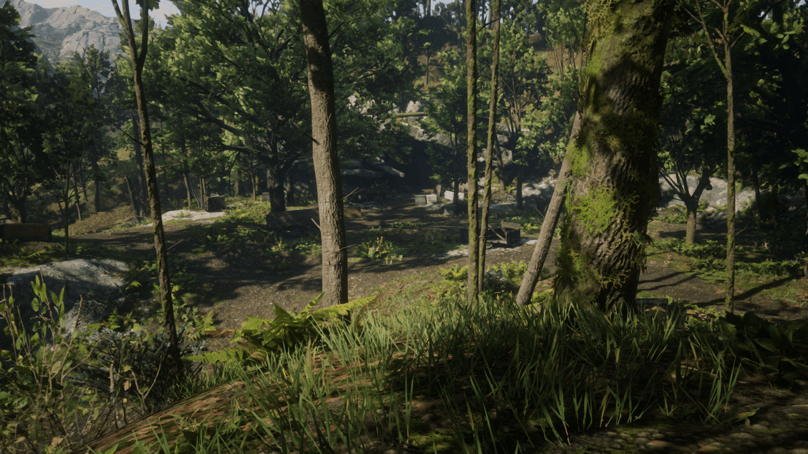 Red Dead Redemption 2 Gang Hideouts Guide - RDR2.org