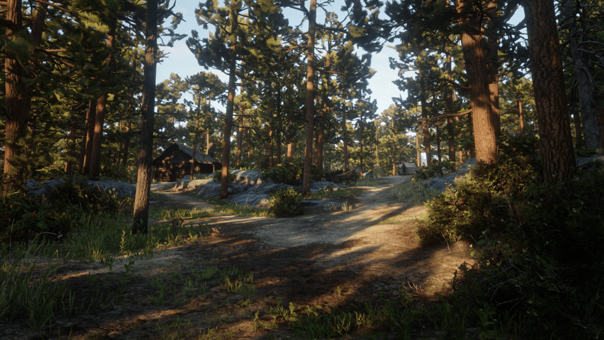 Red Dead Redemption 2 Gang Hideouts Guide - RDR2.org