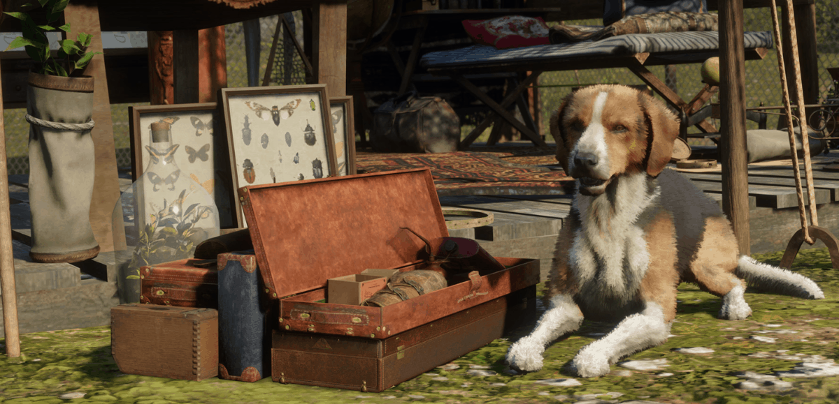 Gold And RDO$ Bonuses In Red Dead Online All Week - RDR2.org