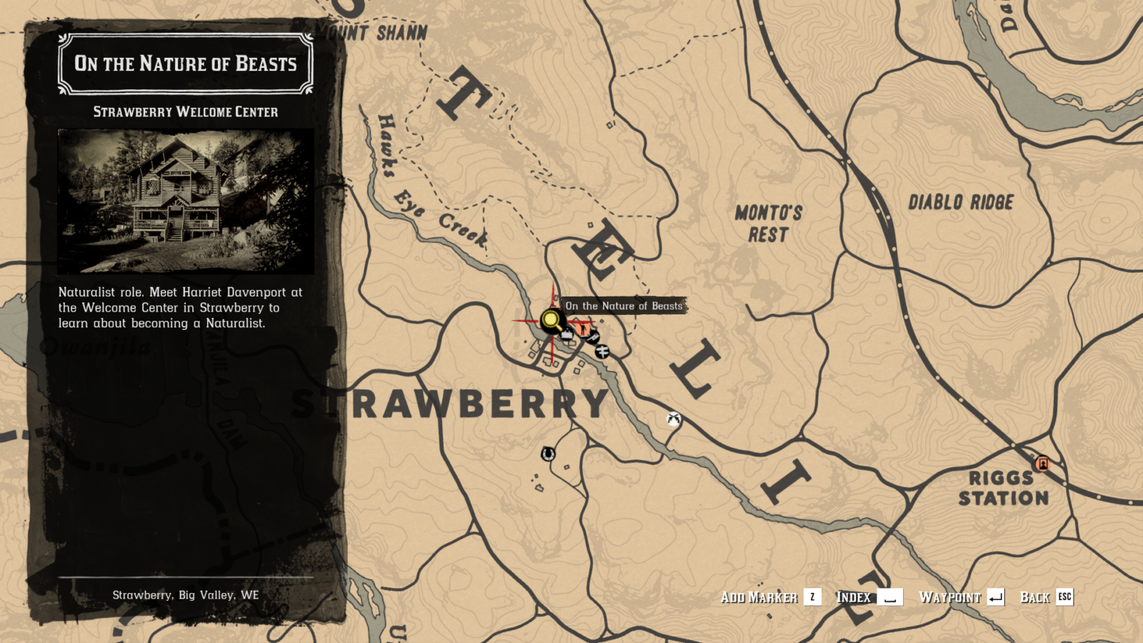 How To Level Up Naturalist Role Fast Rdr2 | The Tube