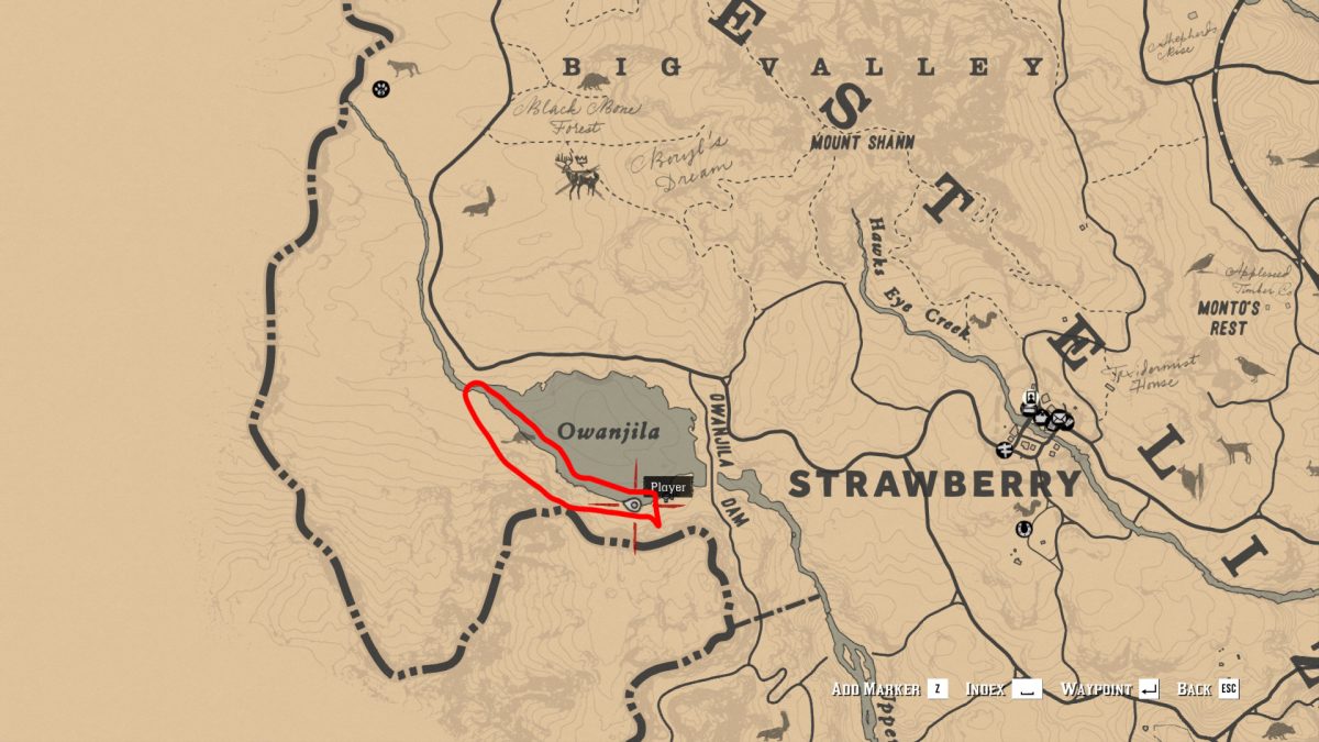 Best Locations for Perfect Beaver Pelts - RDR2.org