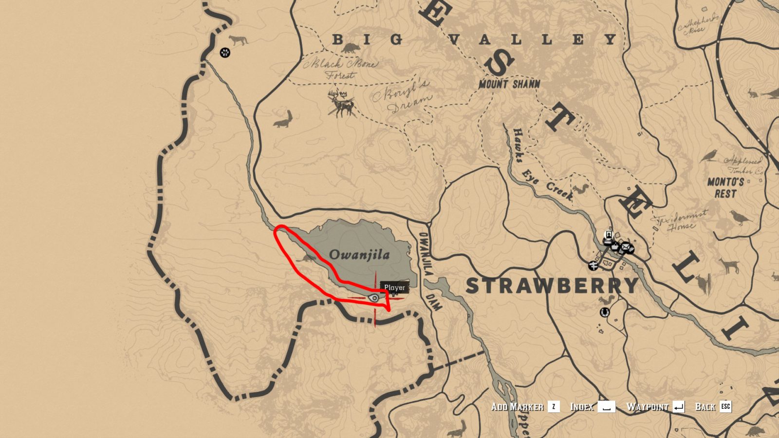 Best Locations for Perfect Beaver Pelts - RDR2.org