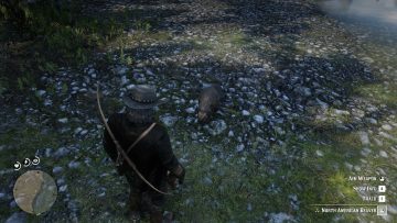 Best Locations for Perfect Beaver Pelts - RDR2.org