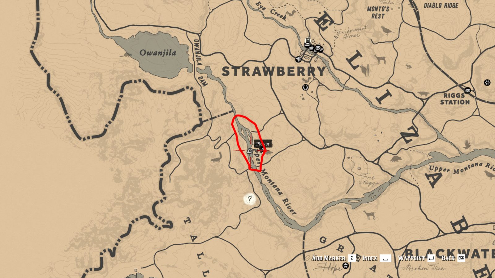 Best Locations for Perfect Beaver Pelts - RDR2.org