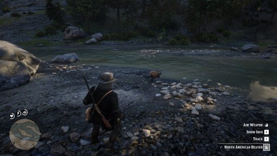 Best Locations for Perfect Beaver Pelts - RDR2.org